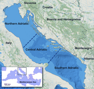 Kolaborativni znanstveni članak, djelatnika Odjela za primijenjenu ...